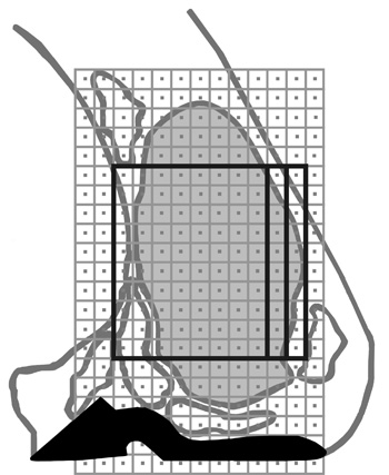 What is ribeye area measured in?