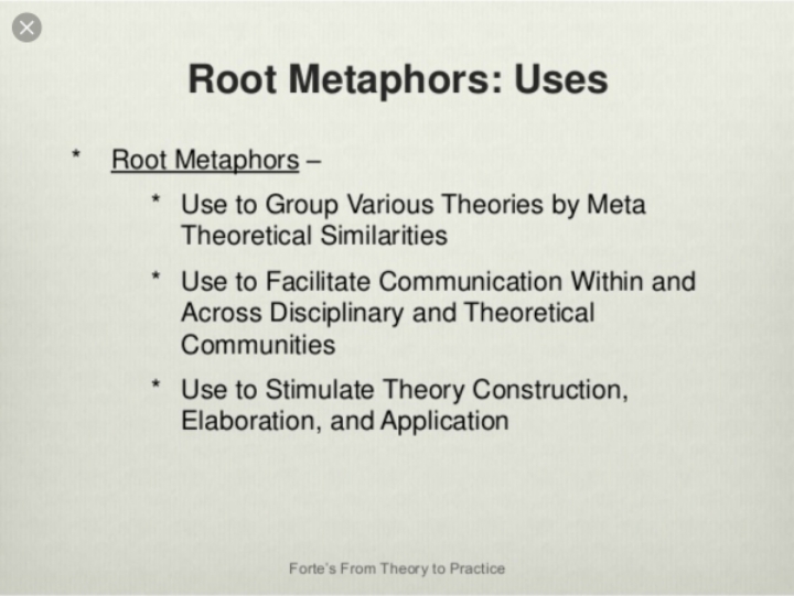 What is root metaphors?