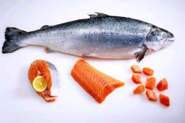 What is salmon fish name in Tamil?