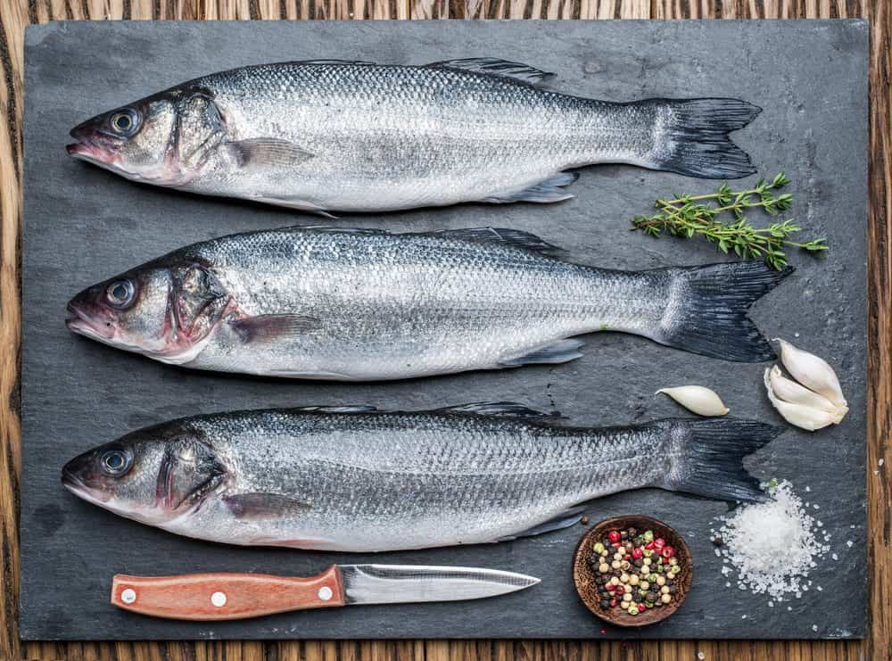 What is sea bass similar to?