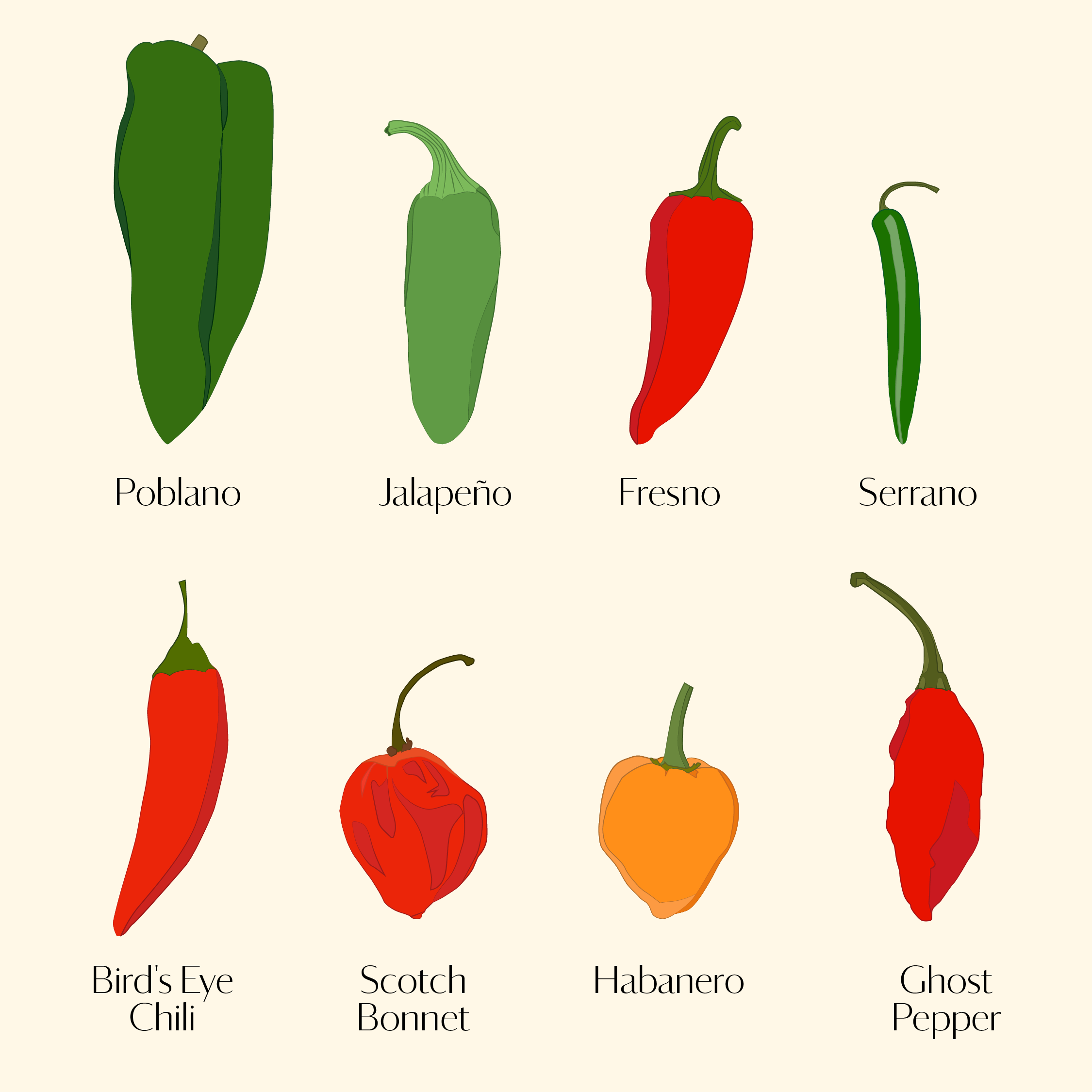 What is similar to Chile peppers?