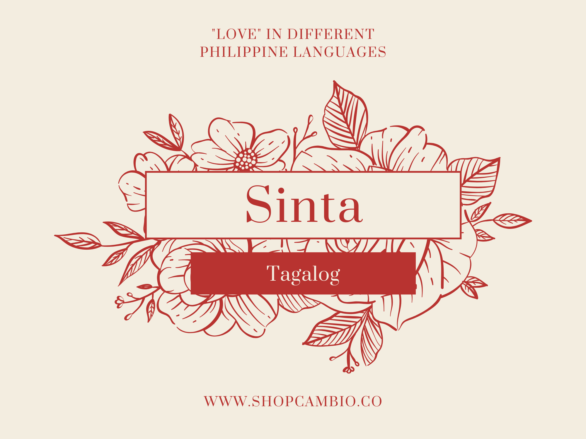 What is Sinta in Tagalog?