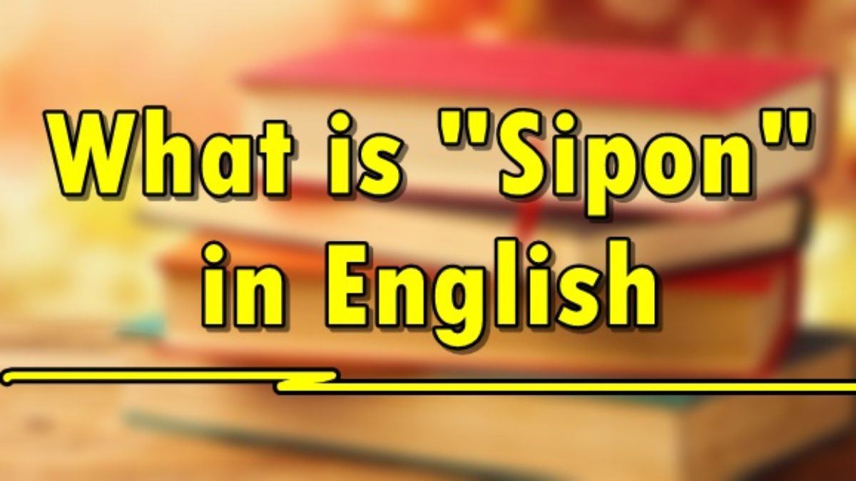 What is SIP on in English?