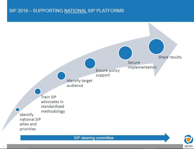 What is SIP strategy?