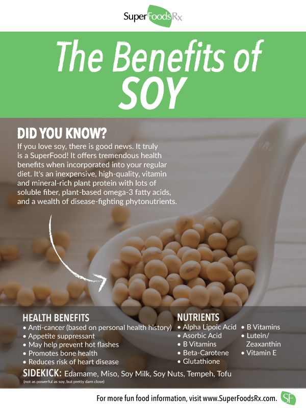 What is soy protein and what are its health benefits?