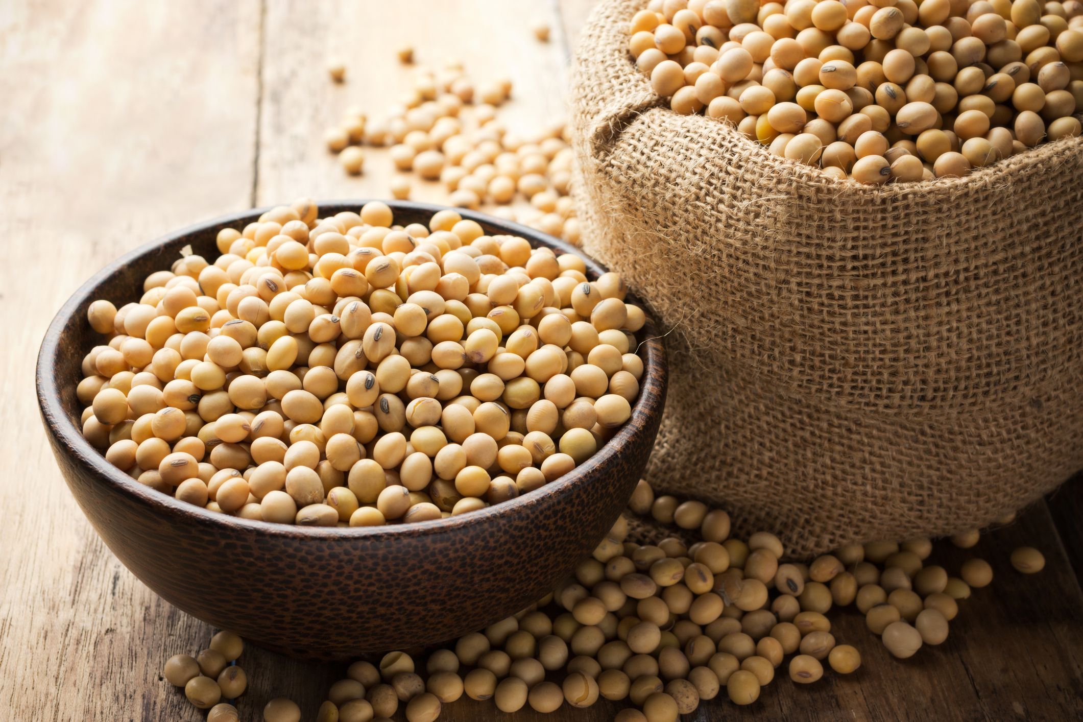 What is soy protein isolate side effects?