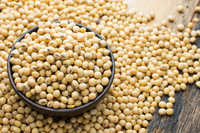 What is soya beans called in English?