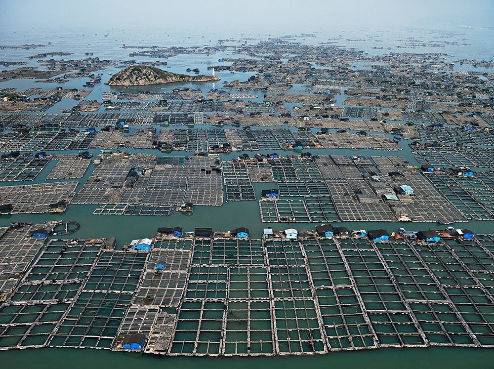 What is special about fish farms in China?