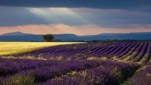 What is special about Provence?