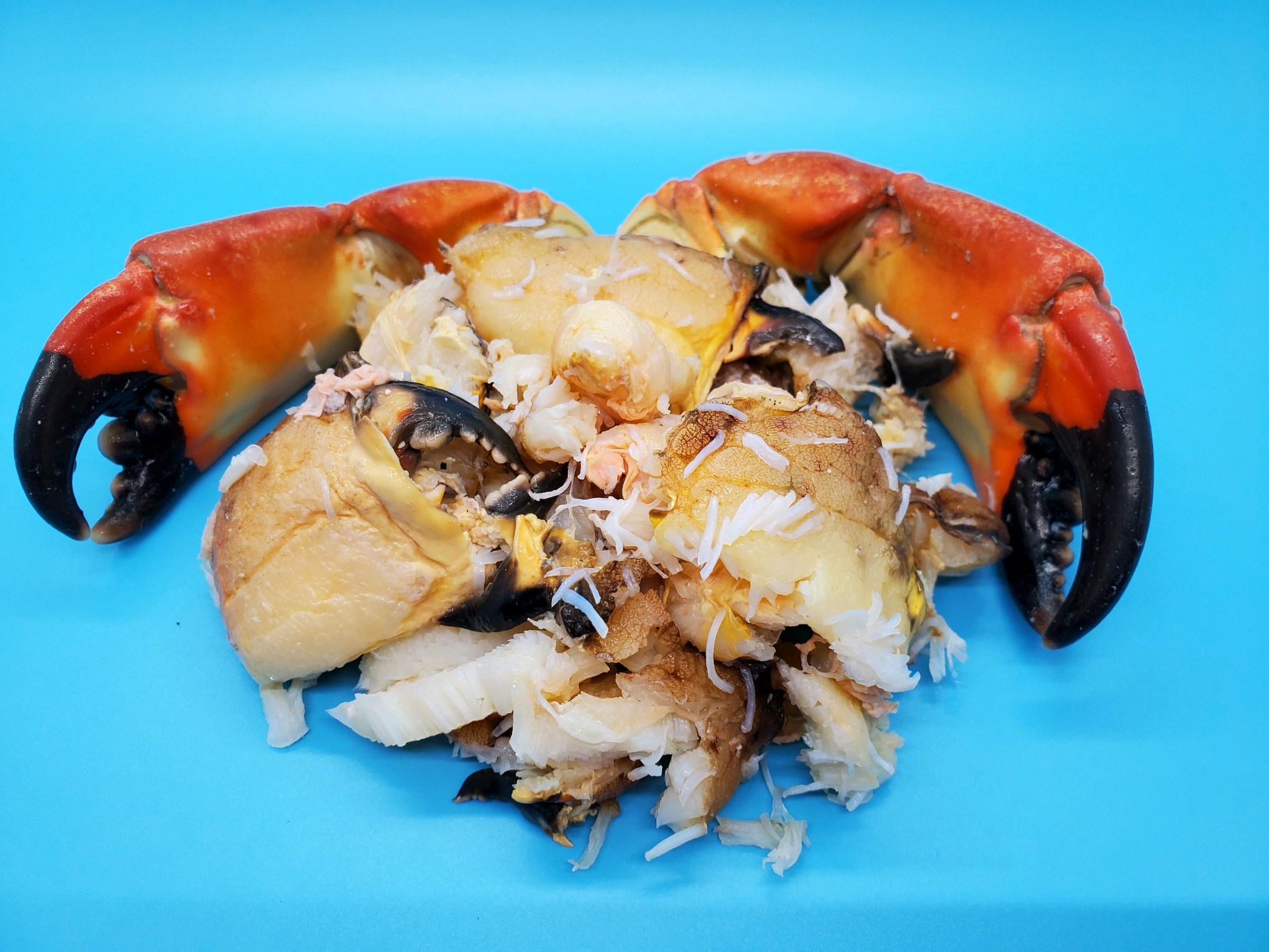 What is stone crab meat?