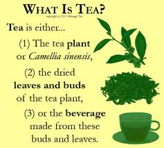 What is tea tea?