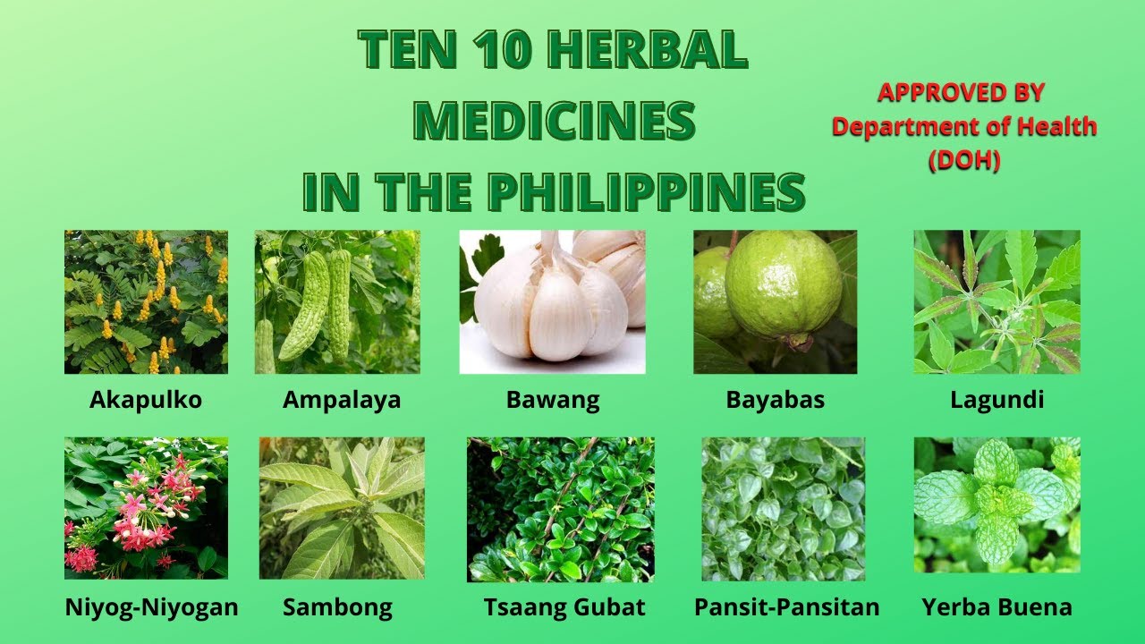 What is the 10 herbal medicine?