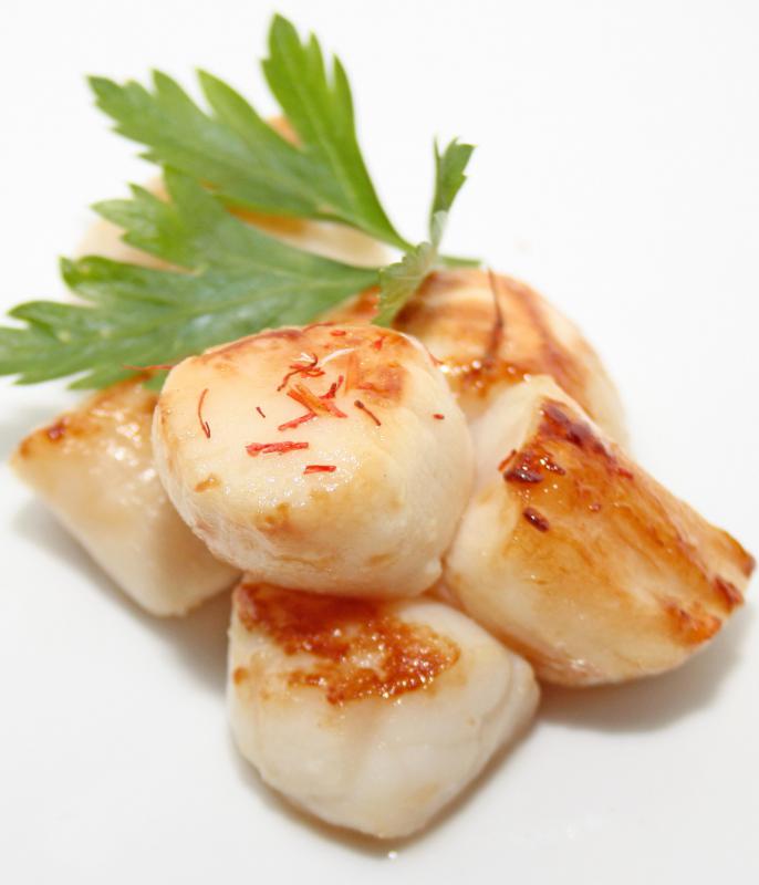 What is the allergen in scallops?