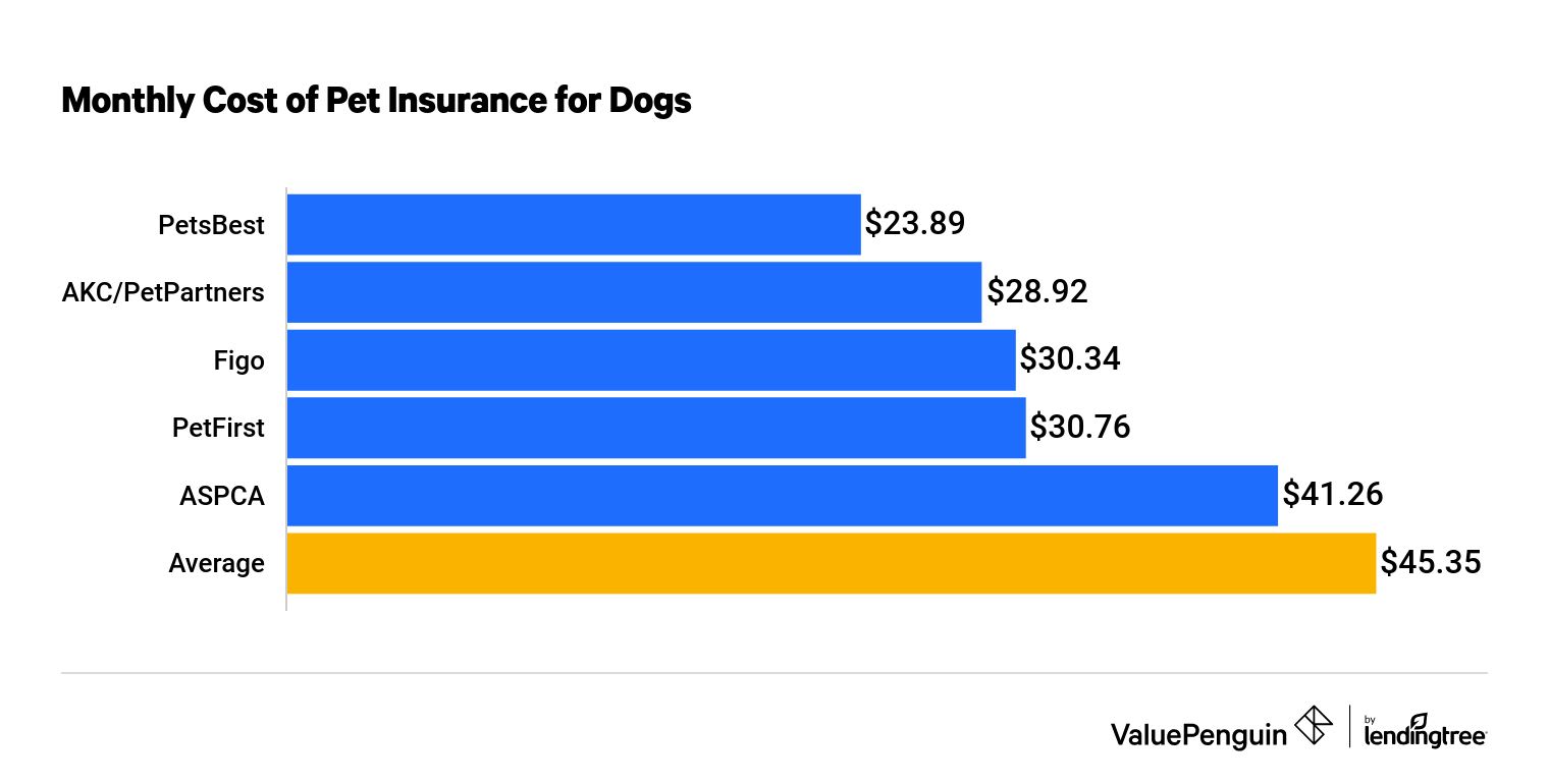 What is the average cost of pet insurance in Canada?