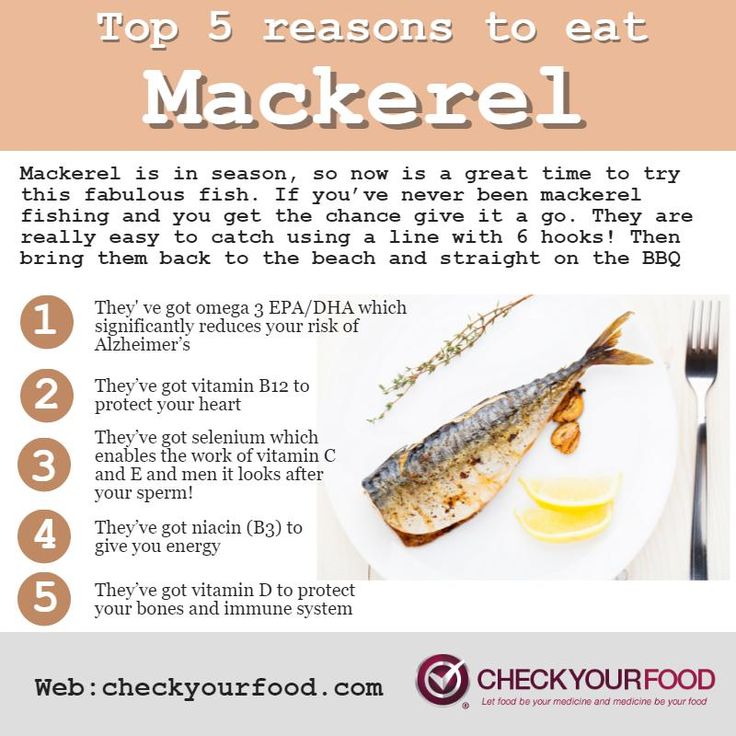 What is the benefit of eating mackerel?