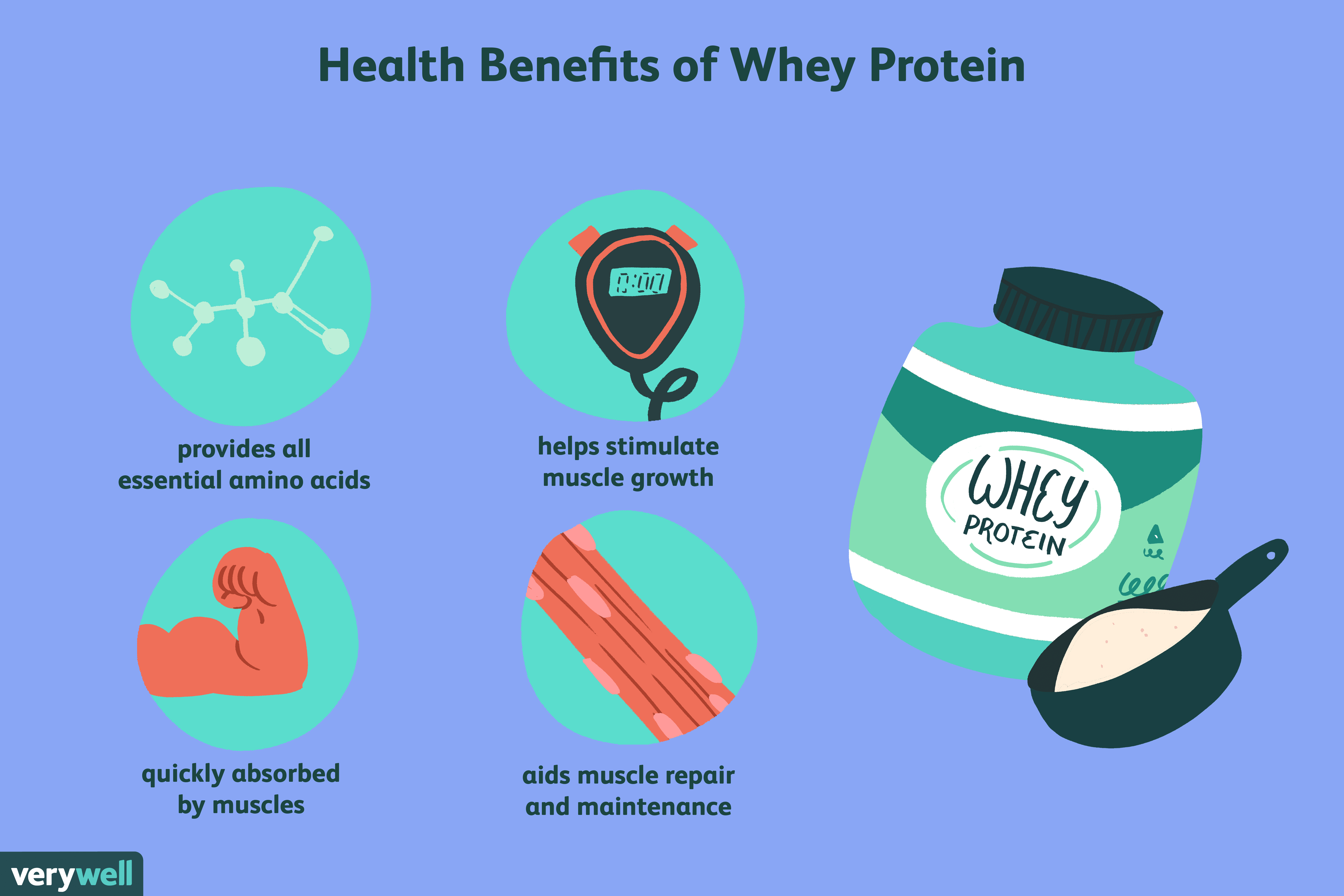 What is the benefits of whey protein?