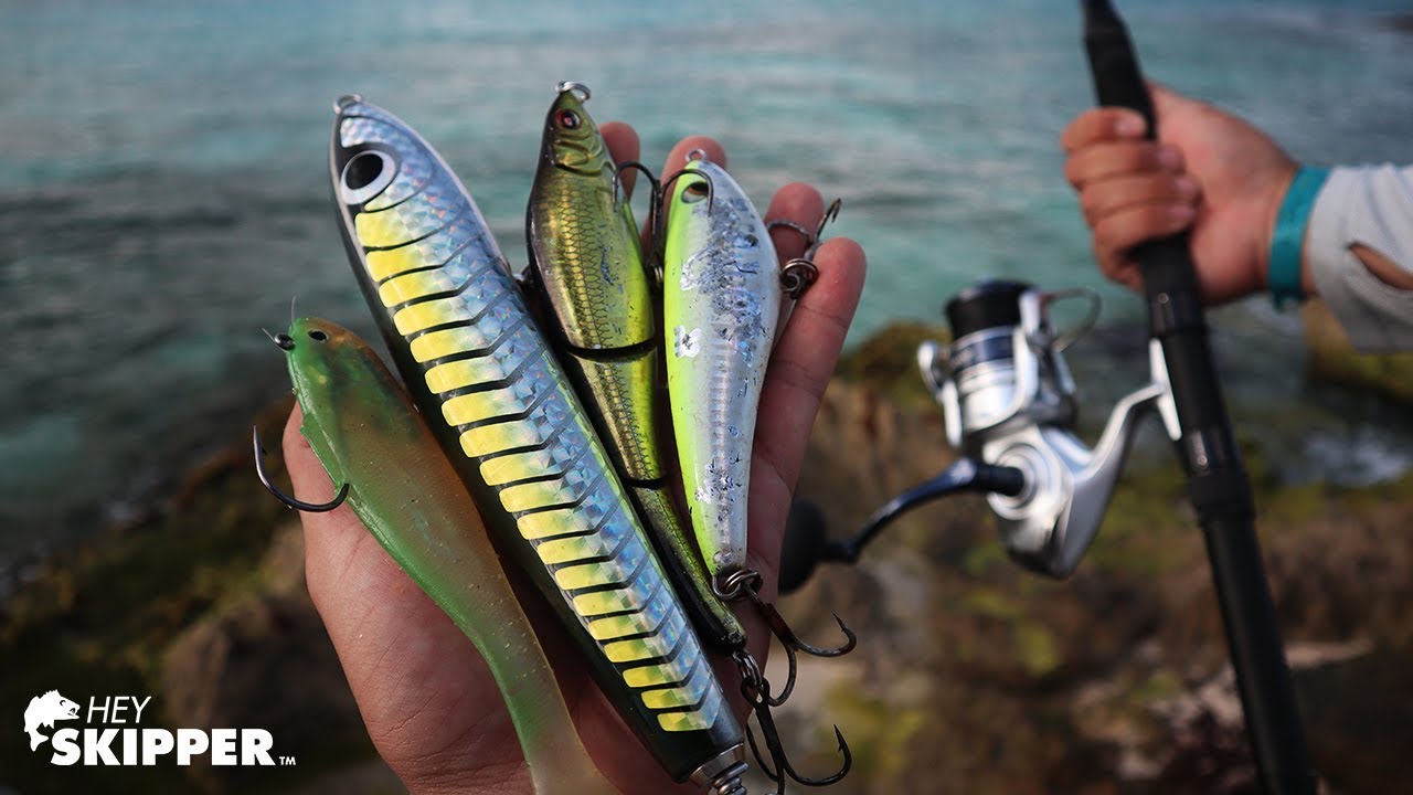 What is the best bait for shore fishing?