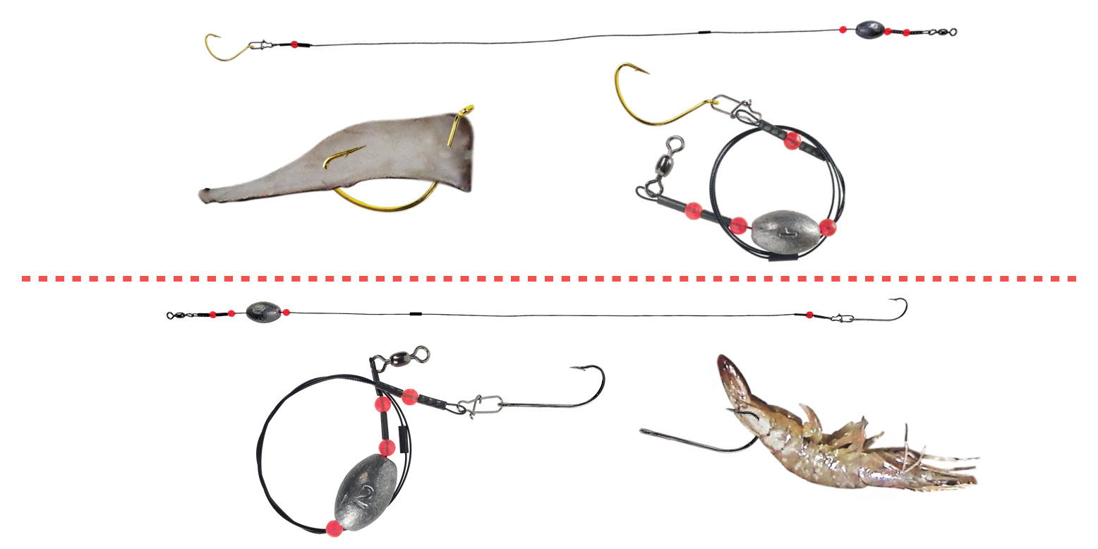 What is the best bait for surf fishing?