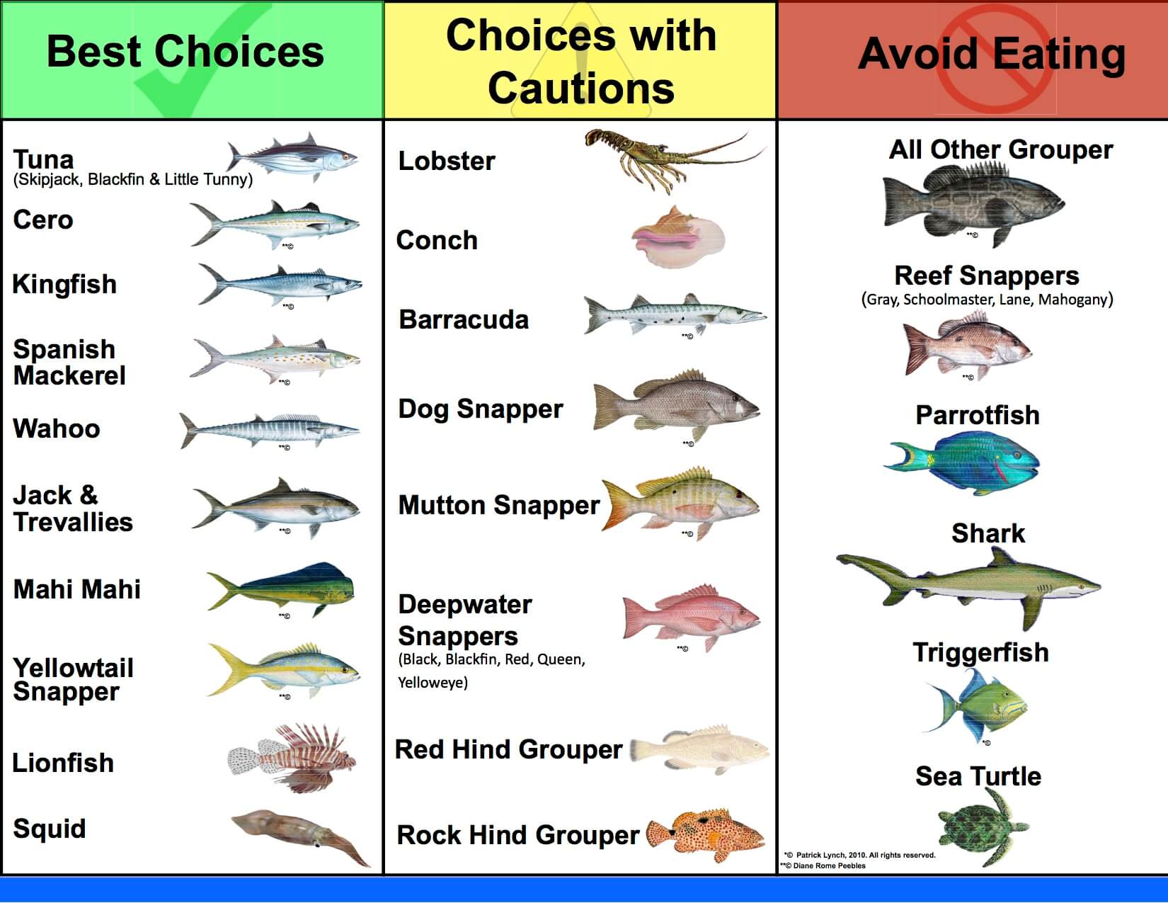types of fish to eat        <h3 class=