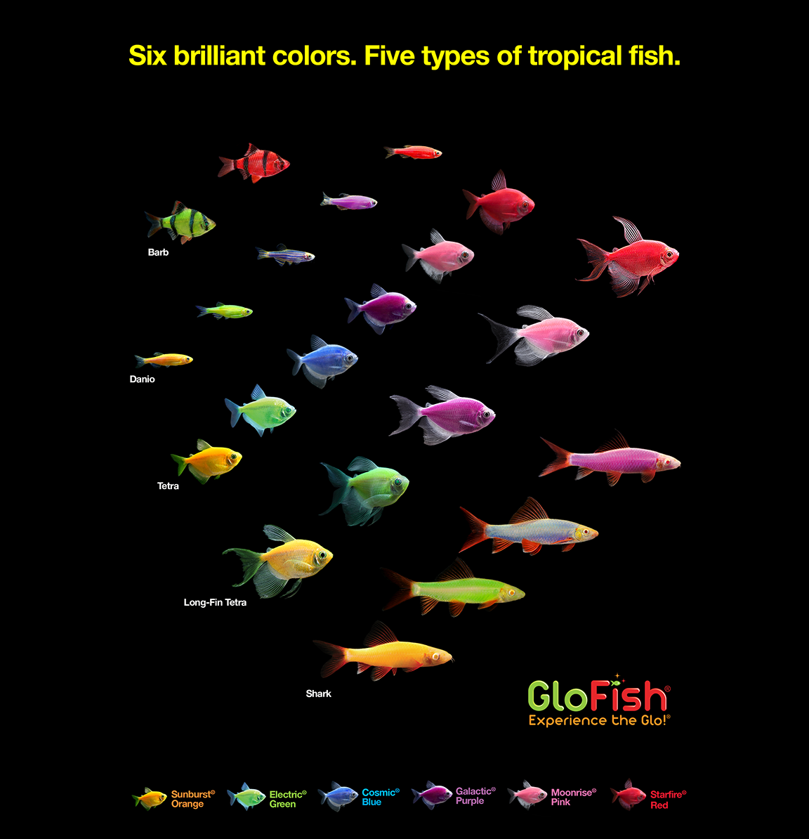 What is the best color for GloFish?