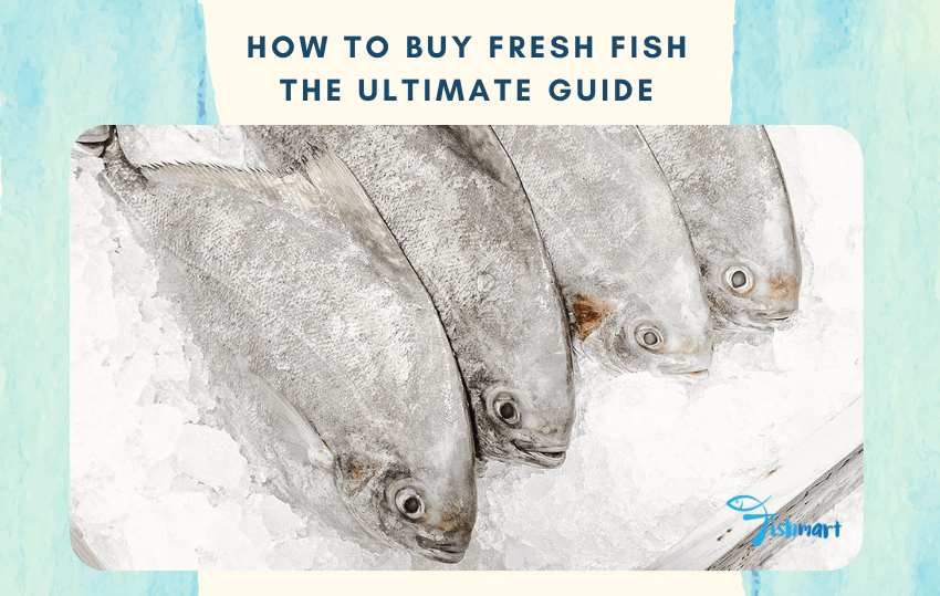 what-is-the-best-day-to-buy-fresh-fish-2022-qaqooking-wiki