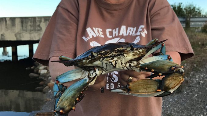 What is the best depth to catch blue crabs?