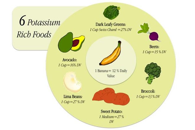What is the best diet for a vegetarian dialysis patient?