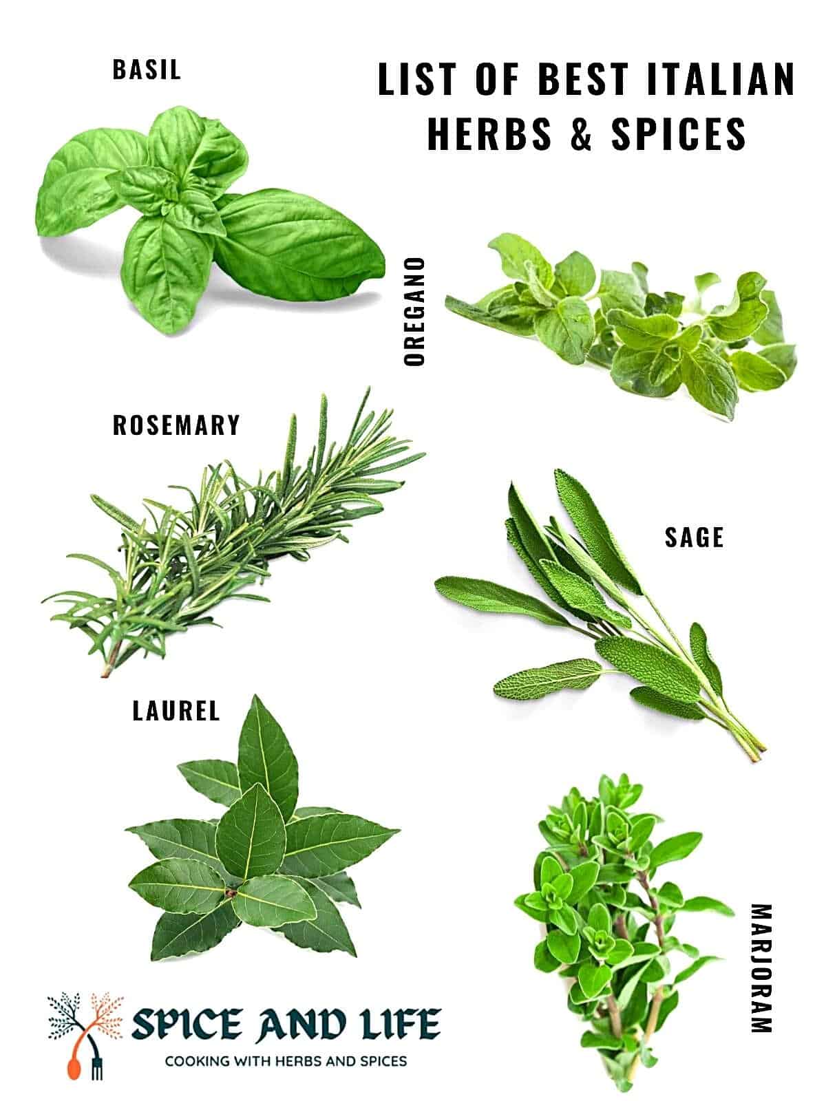 What is the best Italian basil?