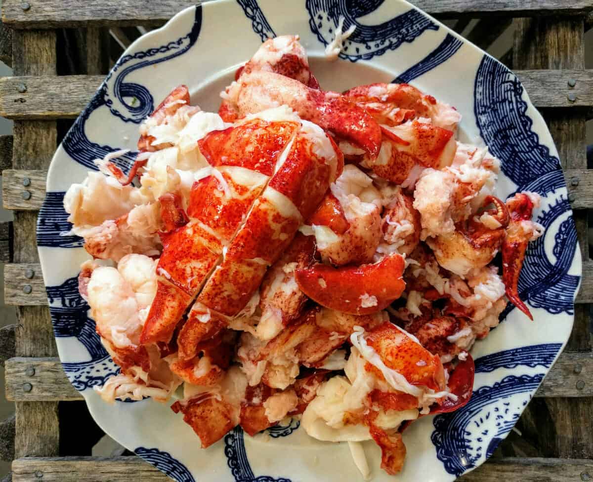 What is the best lobster meat?