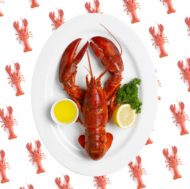 What is the best lobster you can buy?