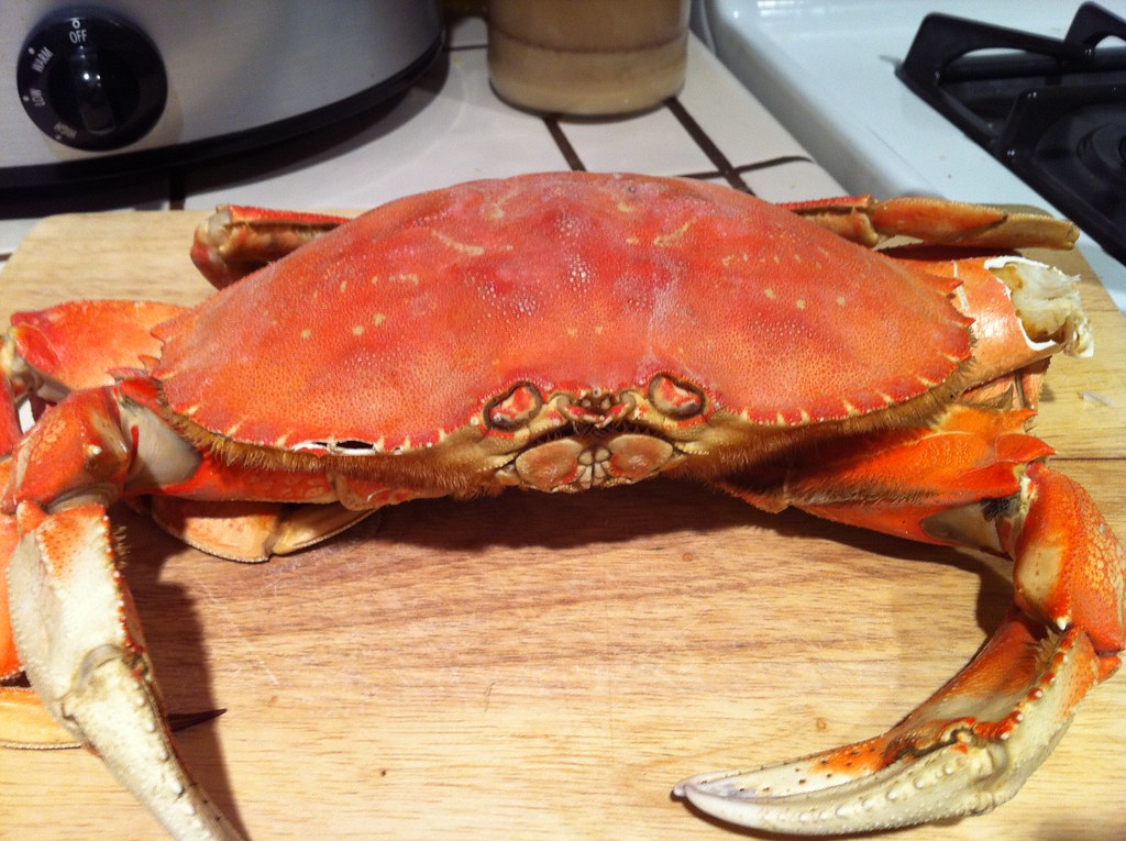 What is the best quality crab to eat?