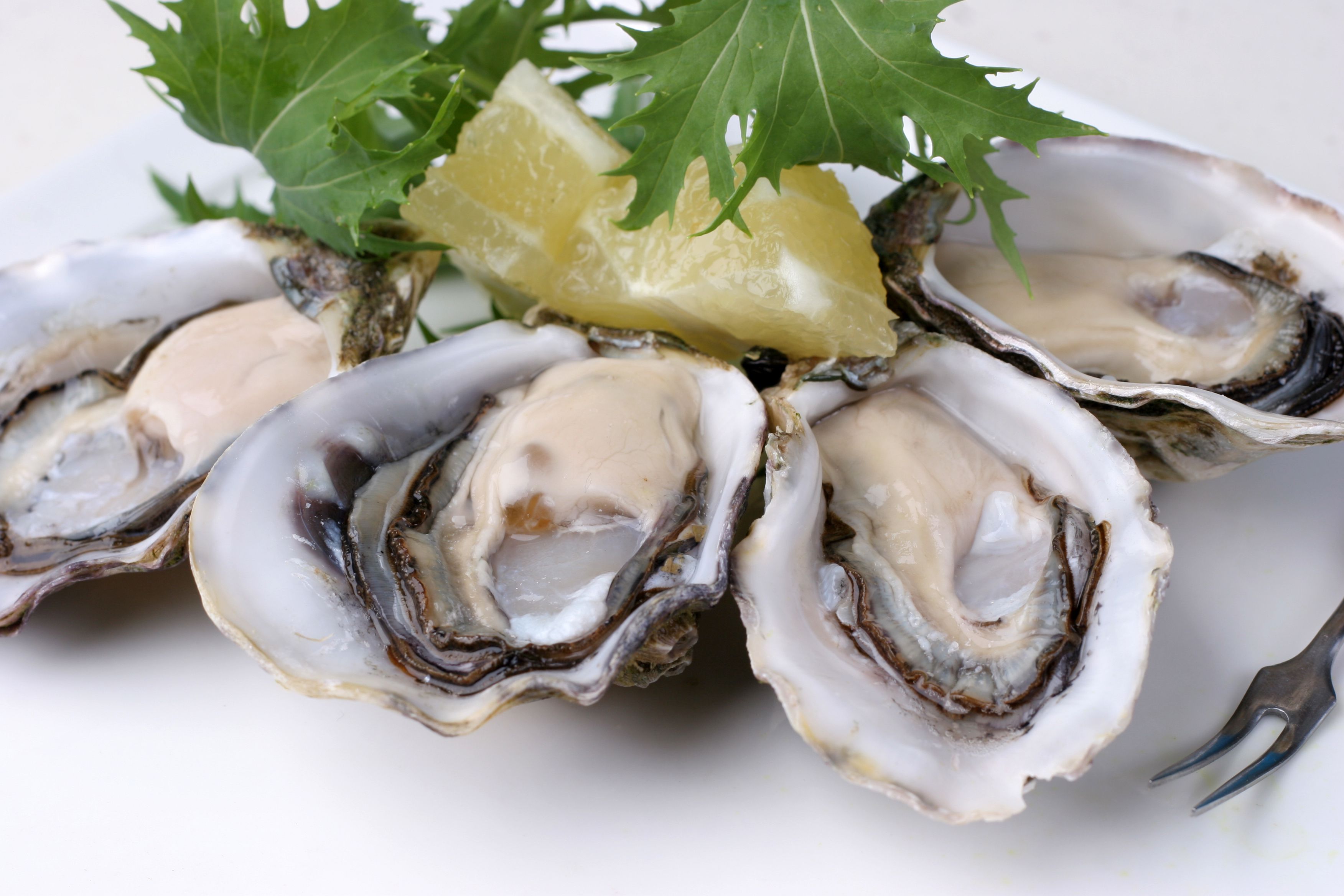 What is the best raw oyster?