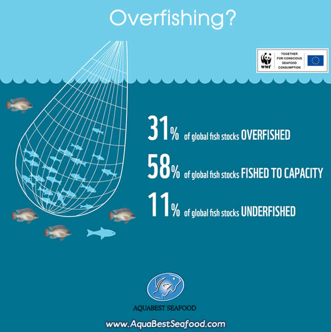 What is the best solution for overfishing?