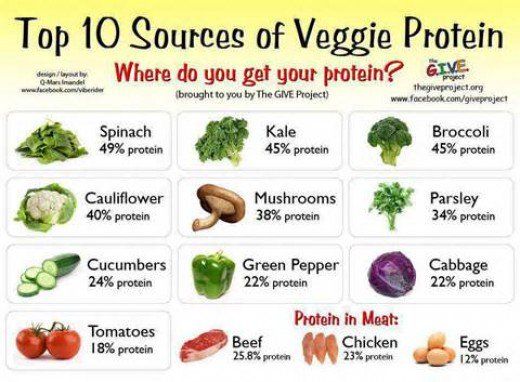 What is the best source of protein for humans?