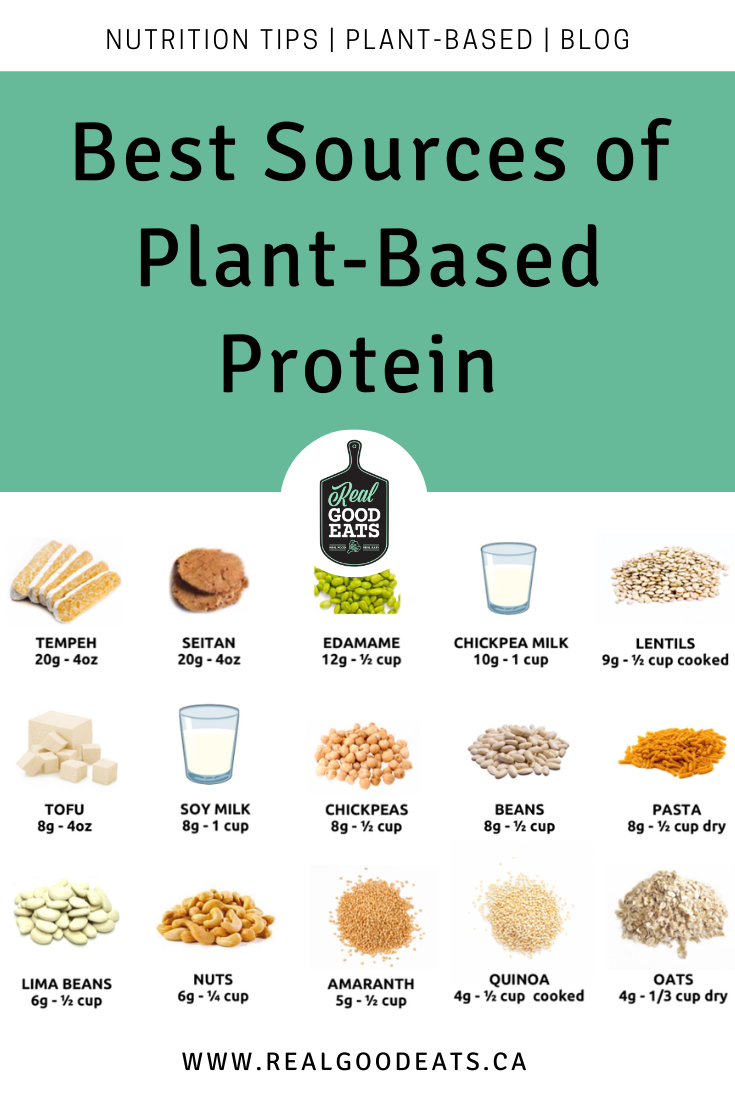 What is the best source of protein in a plant based diet?