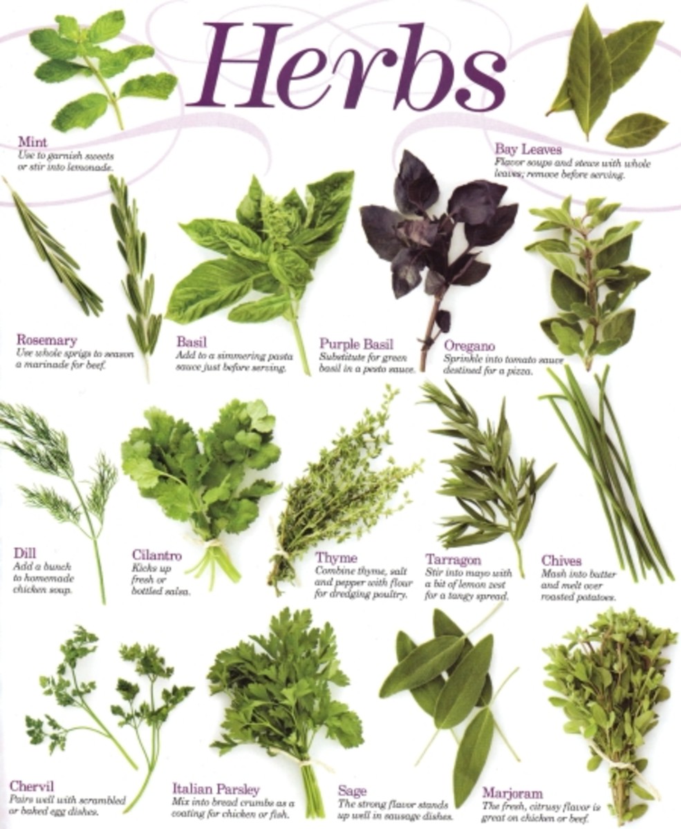 What is the best tasting herb?