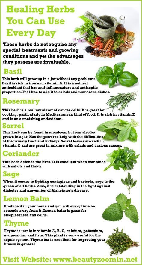 What is the best time of day to add herbs?