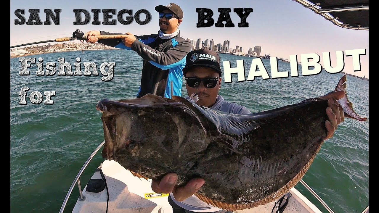 What is the best time to catch halibut in San Diego?