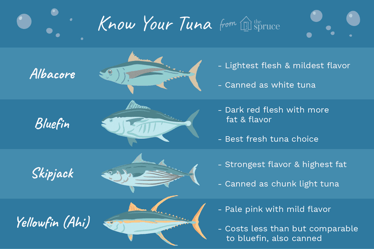 What is the best type of tuna?