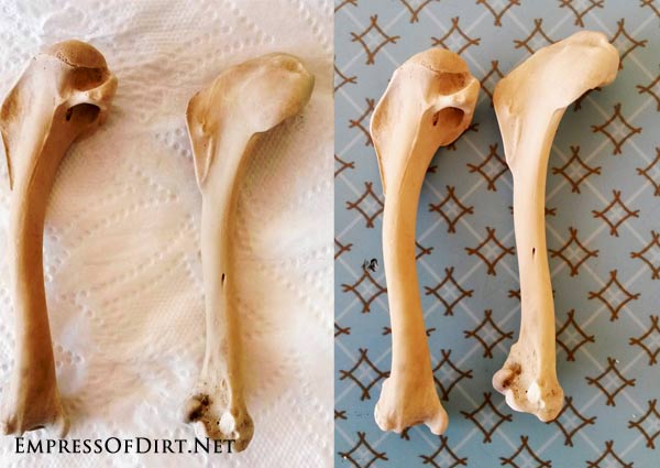 What is the best way to clean chicken bones?