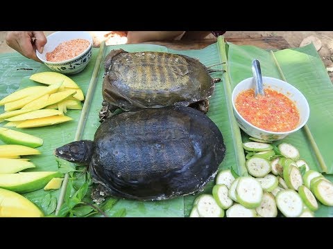 What is the best way to cook turtle?