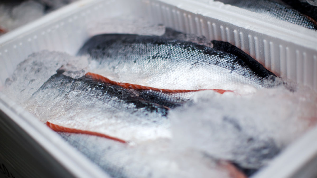 What is the best way to store fish after fishing?