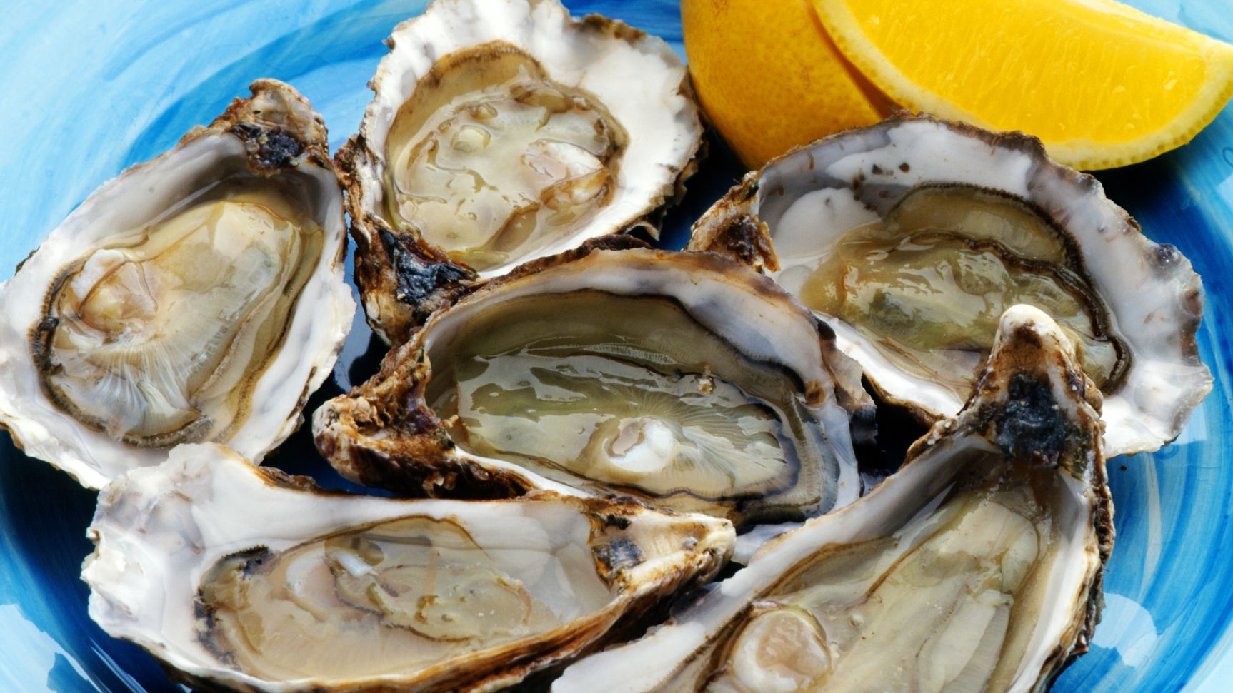 What is the best way to store raw oysters?