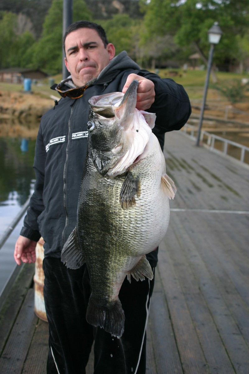 What is the biggest bass caught in 2020?