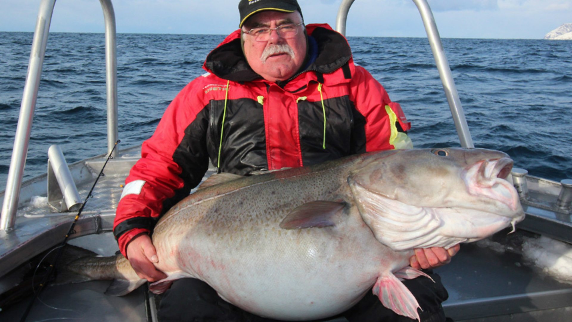 What is the biggest cod ever caught?