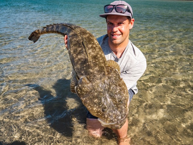 What is the biggest flathead caught?