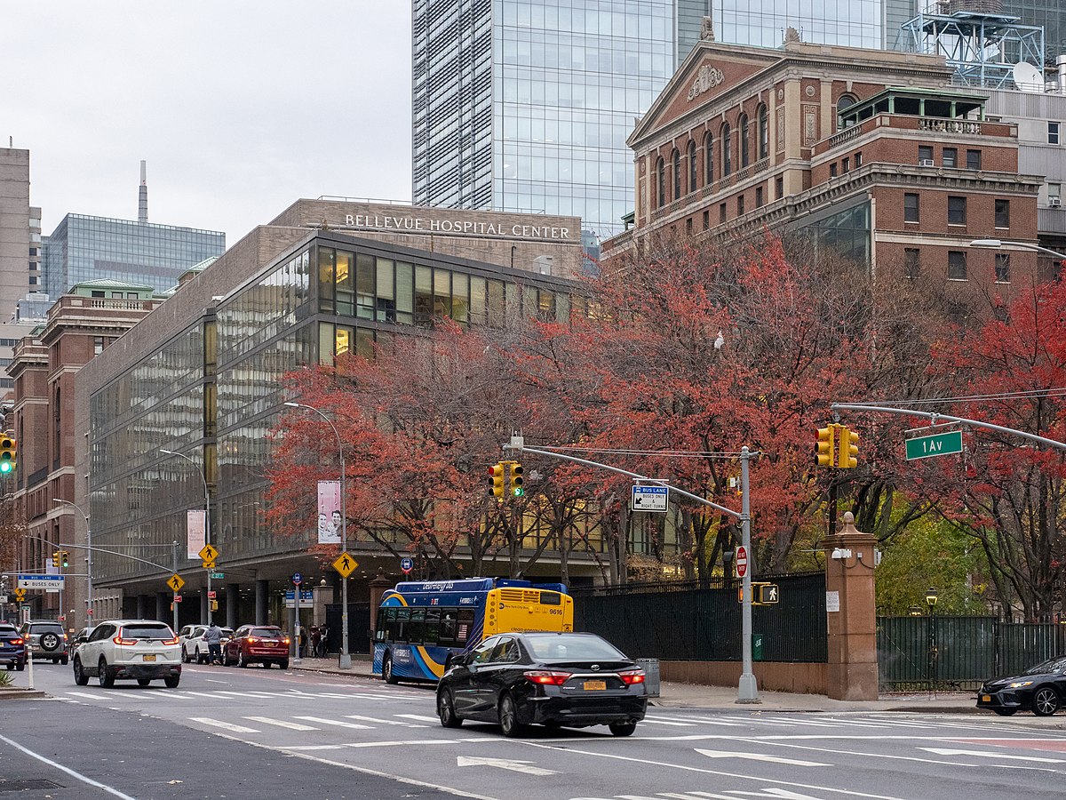 What is the biggest hospital in New York?