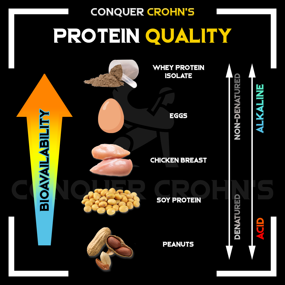 What is the bioavailability of whey protein?