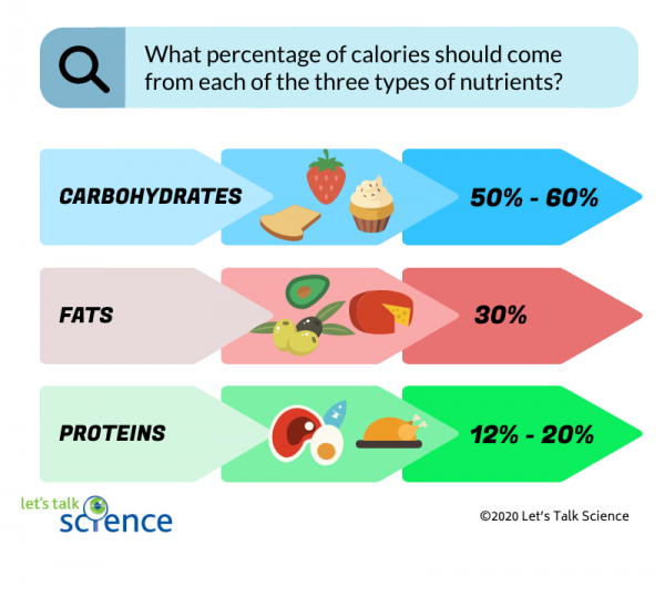 What is the breakdown of a calorie?