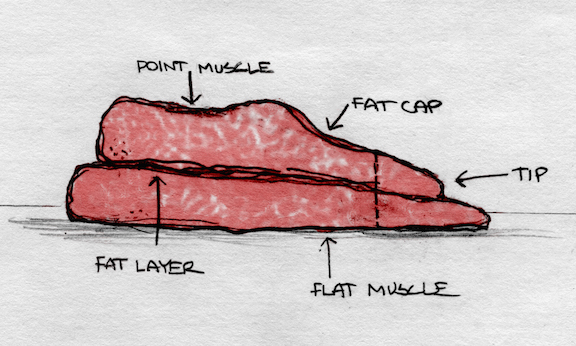 What is the brisket flat muscle?